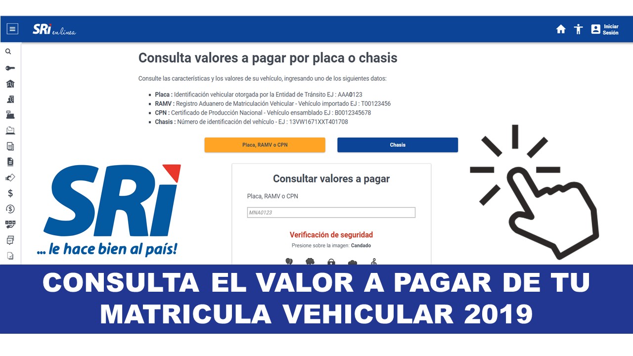 Consulta El Valor De Tu Matrícula Vehicular 2023 Educar Plus