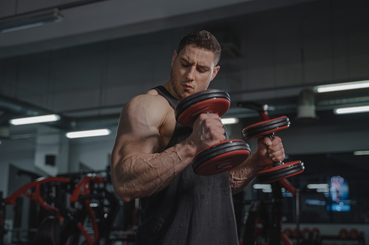 Most Effective Long Head Bicep Exercises For Bigger Arms And A Higher Peak