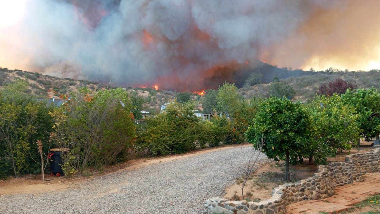 Onemi Declara Alerta Roja Por Incendio Forestal En La Comuna De