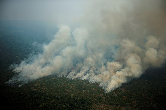 Las Imágenes Más Impactantes De Los Incendios En La Amazonía