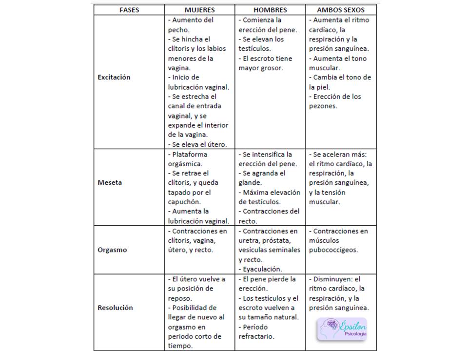 La Respuesta Sexual Humana Epsilon Psicología