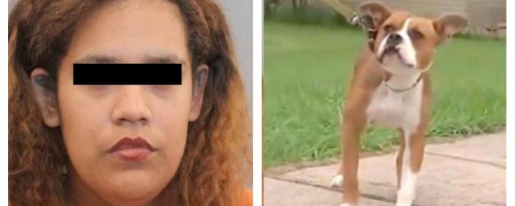 Mujer Intentó Dispararle A Un Perro Pero Le Dio A Su Hijo De 5 Años