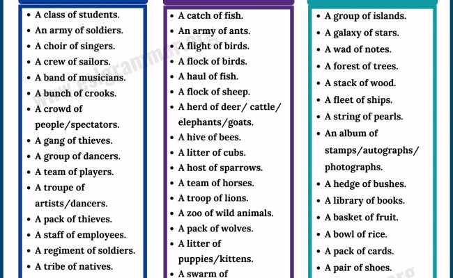 Nouns Types Of Nouns With Definition Rules Useful Examples Esl