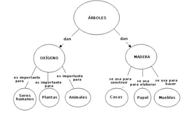 Esquema Y Mapa Conceptual Diferencias Kulturaupice Porn Sex Picture