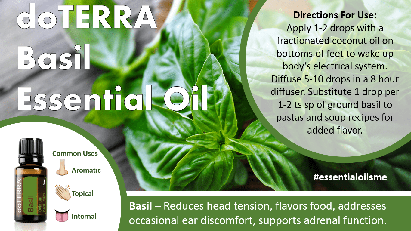 Doterra Basil Essential Oil Uses