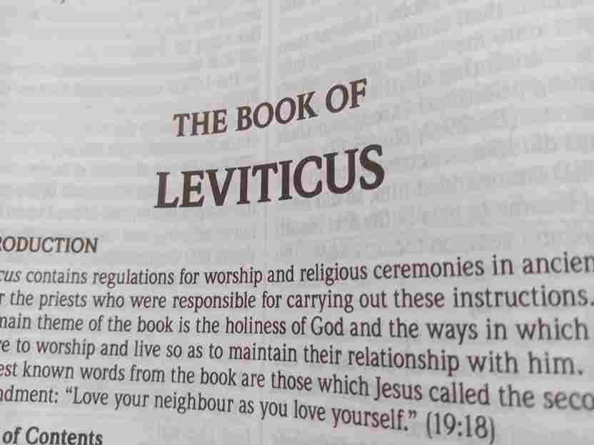 Book Of Leviticus Summary By Chapter 1 27 Concise And Comprehensive