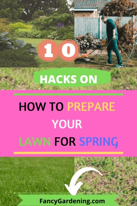 8 Hacks On How To Prepare Your Lawn For Spring Fancygardening