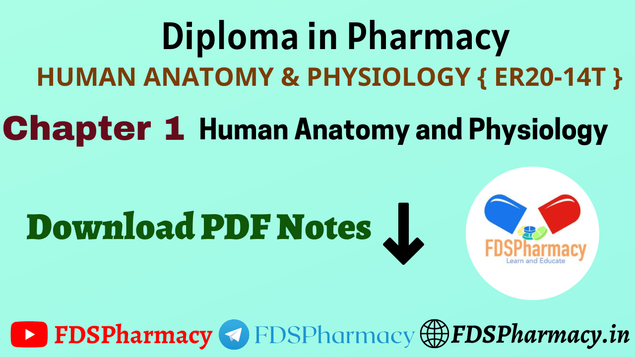 Human Anatomy And Physiology Chapter 1 Notes Fds Pharmacy