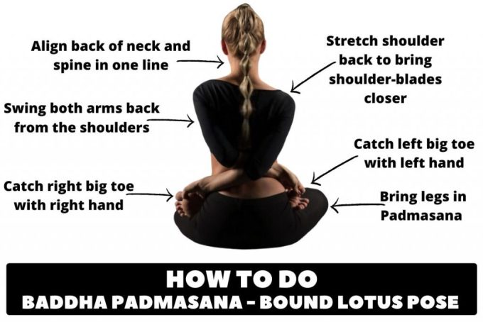 Baddha Padmasana Bound Lotus Pose Steps Benefits And Precautions Fitsri