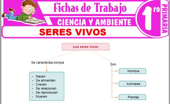 Ciencias Naturales Grado Primero Los Seres Vivos E Inernet Bilarasa