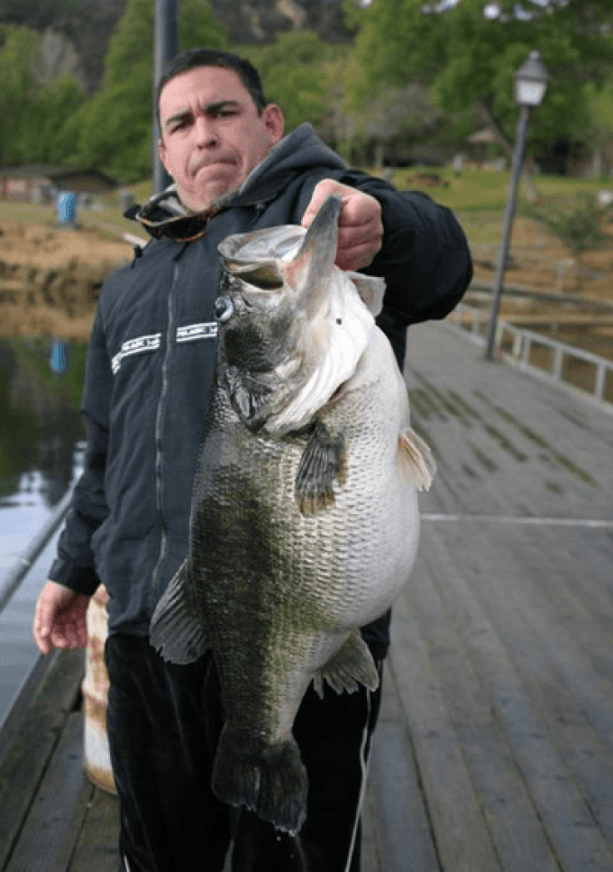 Top 5 Biggest Bass Ever Caught