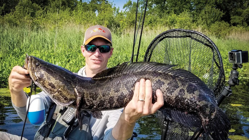 5 Snakehead Recipes And How To Catch This Delicious Invasive Species