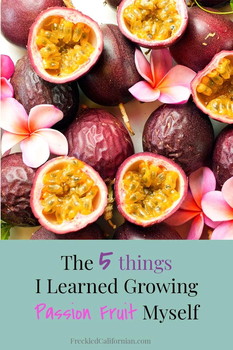 Grow Your Own Passionfruit ~ My 5 Best Tips