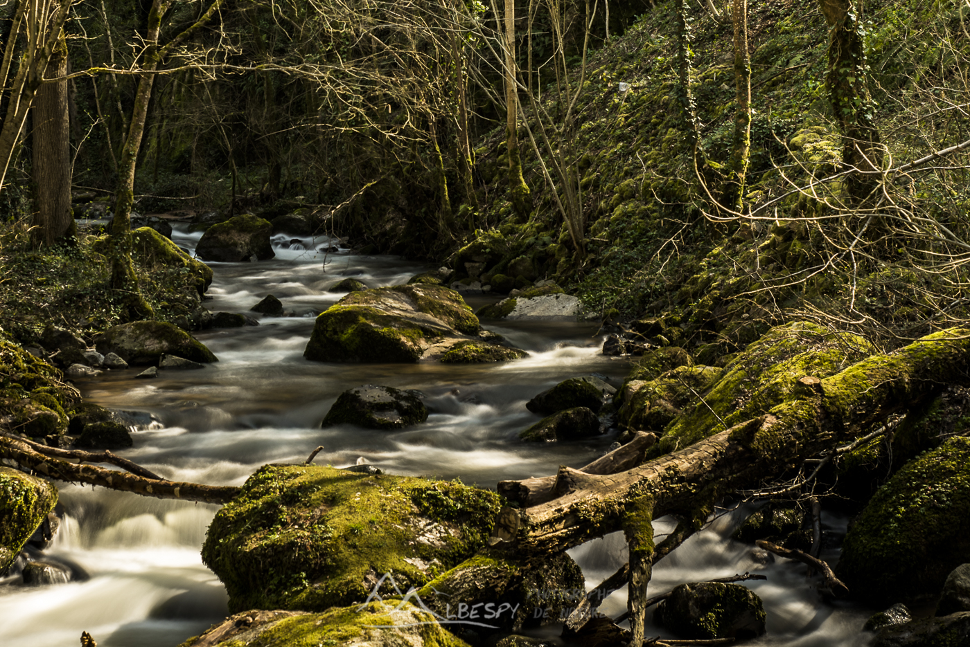 Paysages De Laveyron Frédéric Albespy Photographe De Nature