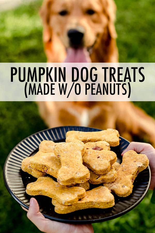 Homemade Pumpkin Dog Treats Without Peanut Butter