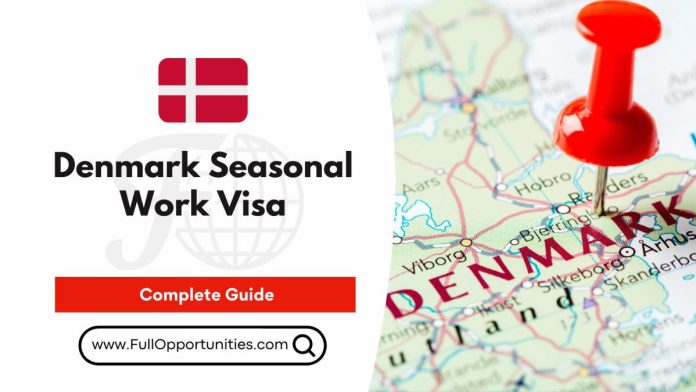 Denmark Seasonal Work Visa 2023 Complete Employment Guide