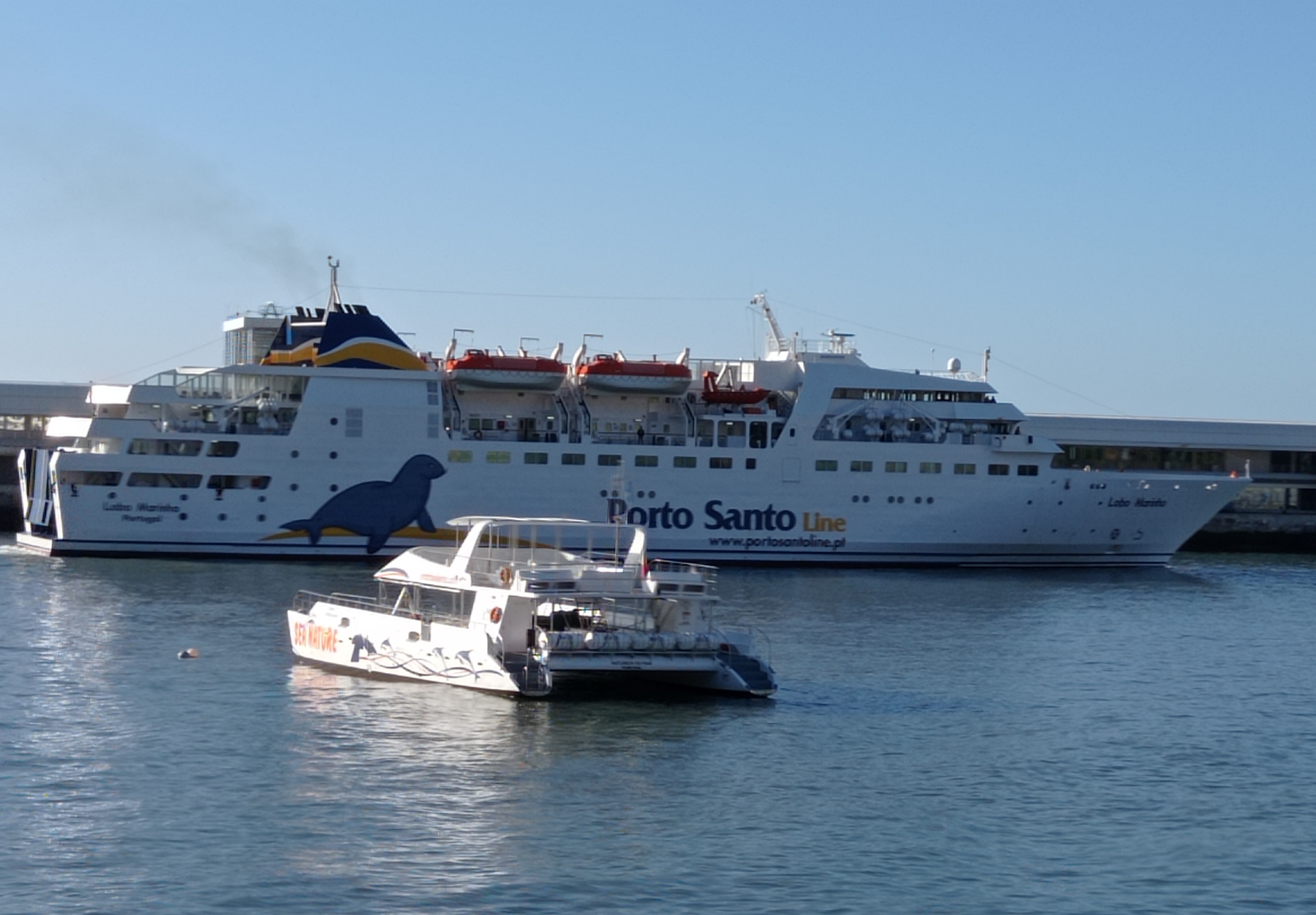 30 Pessoas Continuam A Bordo Do Lobo Marinho De Quarentena Funchal