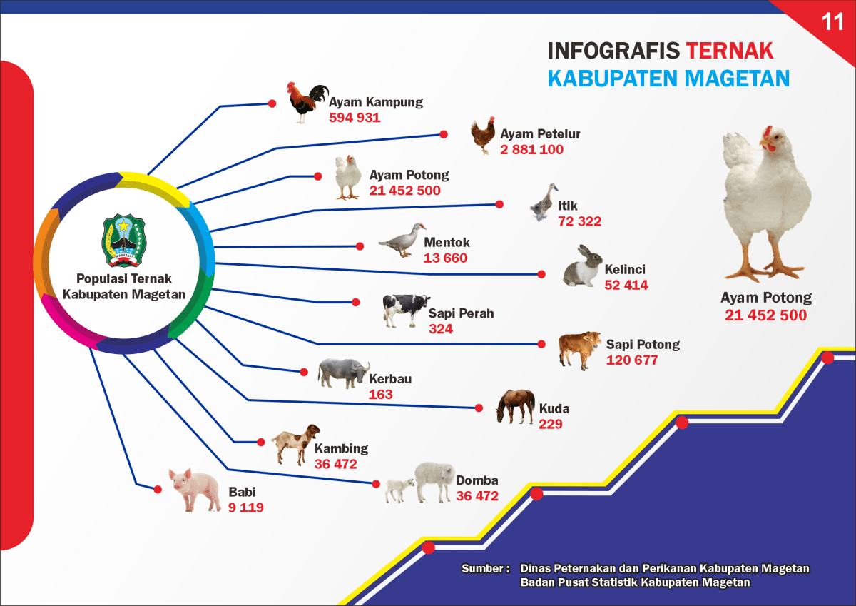 Infografis Ternak Kab Magetan Dinas Komunikasi Dan Informatika Kab