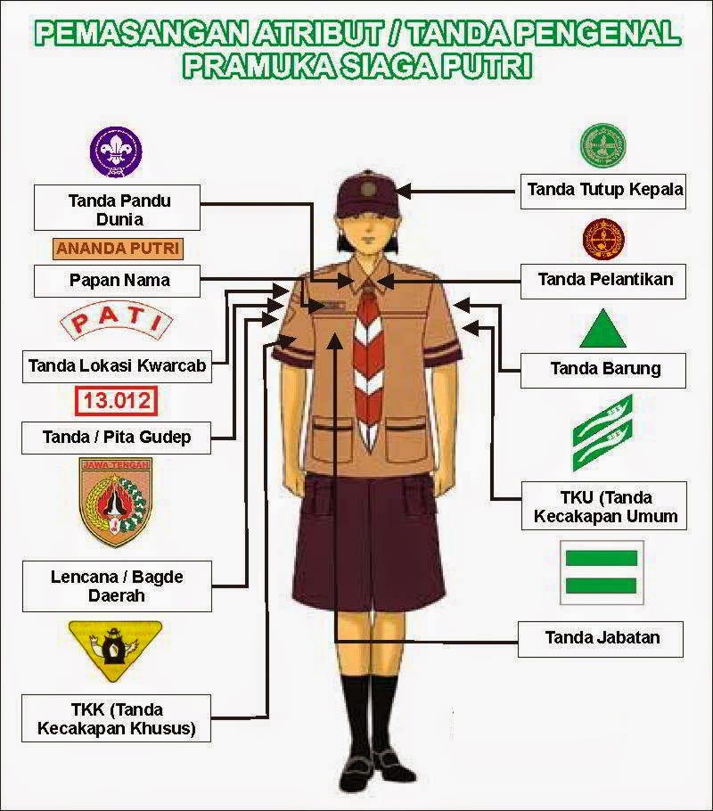 Apa Saja Perbedaan Seragam Sekolah Dengan Seragam Pramuka