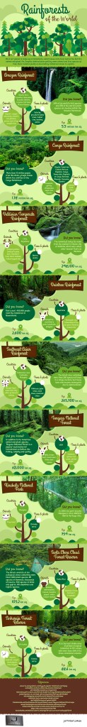 Rainforests Of The World Guest Post And Infographic Kate On Conservation