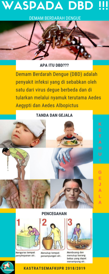 Aedes Aegypti Dan Mencegah Demam Berdarah Dengue Dbd