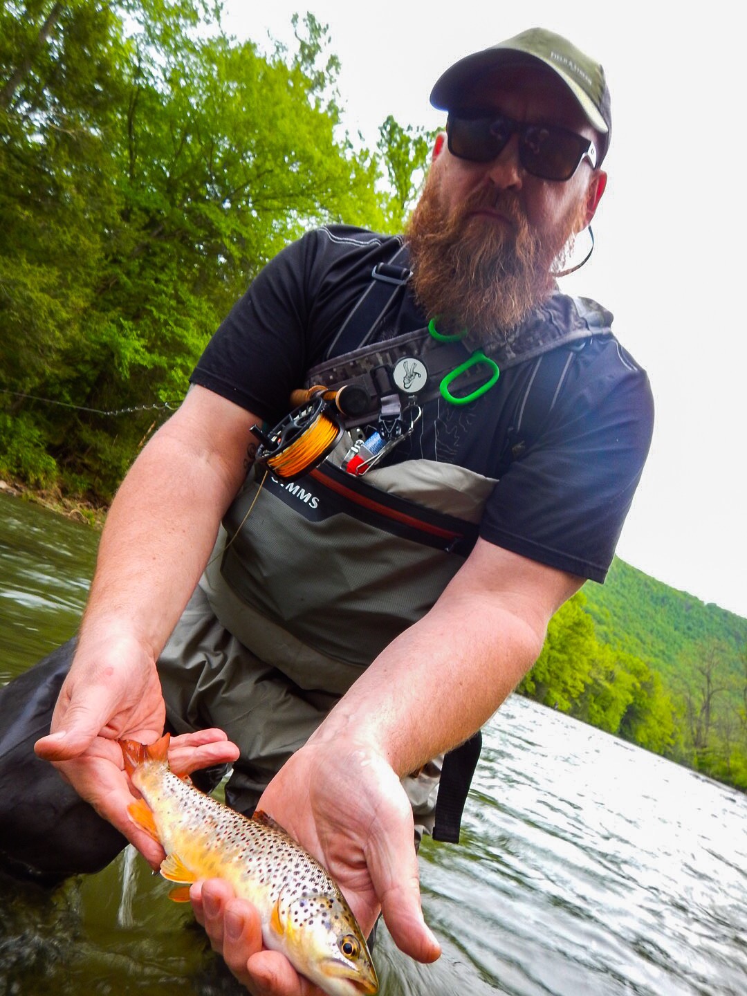 Pennsylvania Fly Fishing And Hatch Report Penns Creek And Spring Creek