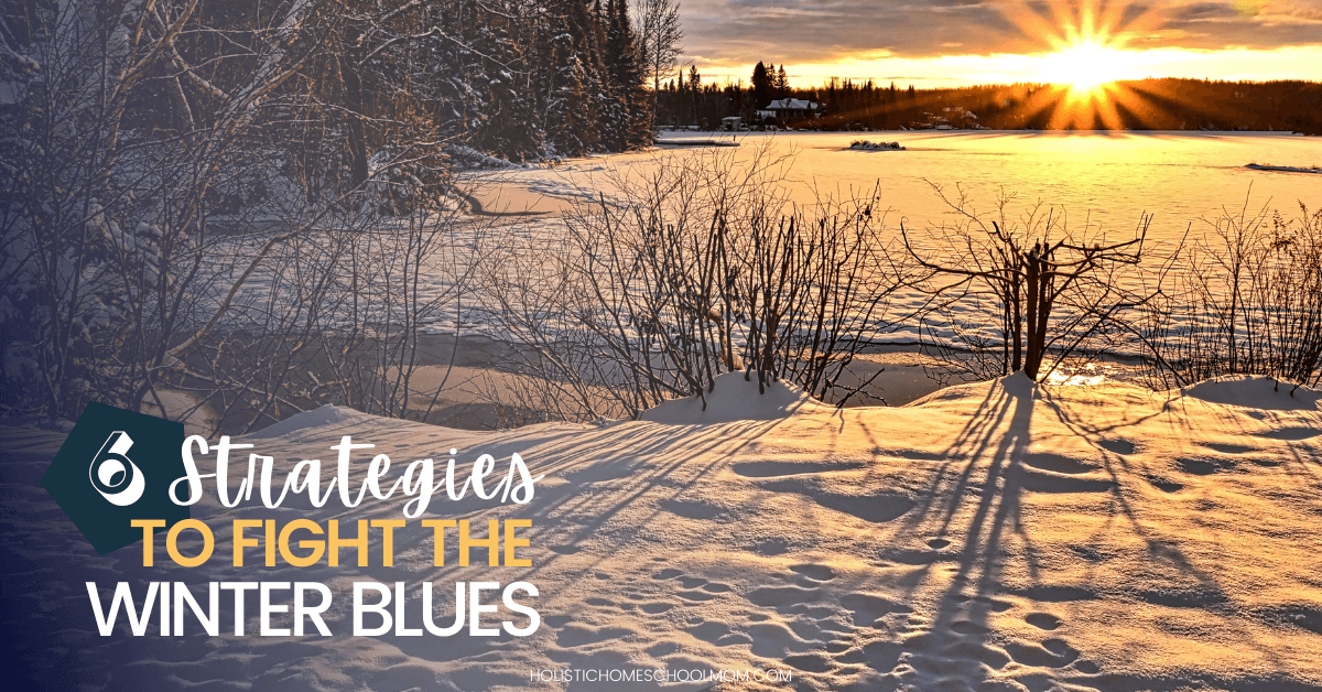 6 Strategies To Fight The Winter Blues Holistic Homeschool Mom