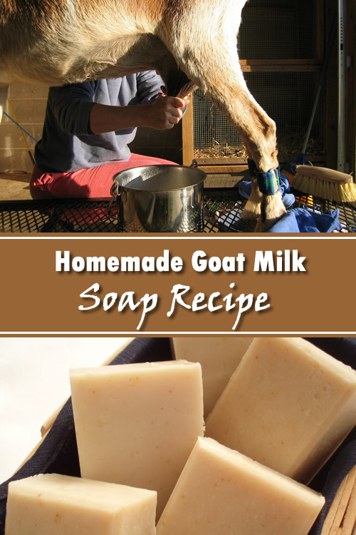 Homemade Goat Milk Soap Recipe