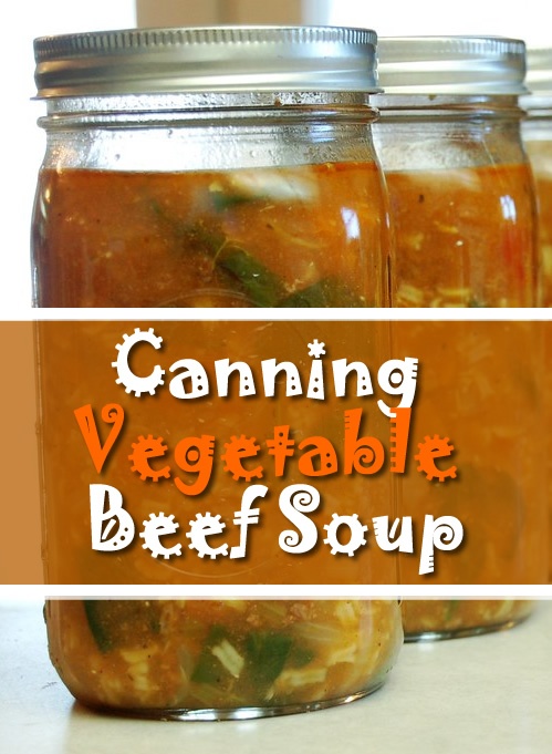 Canning Vegetable Beef Soup