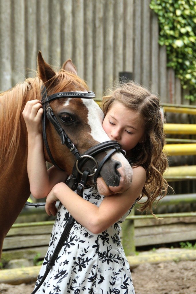 How Horses Show Affection And How Do I Know If My Horse Loves Me Horse