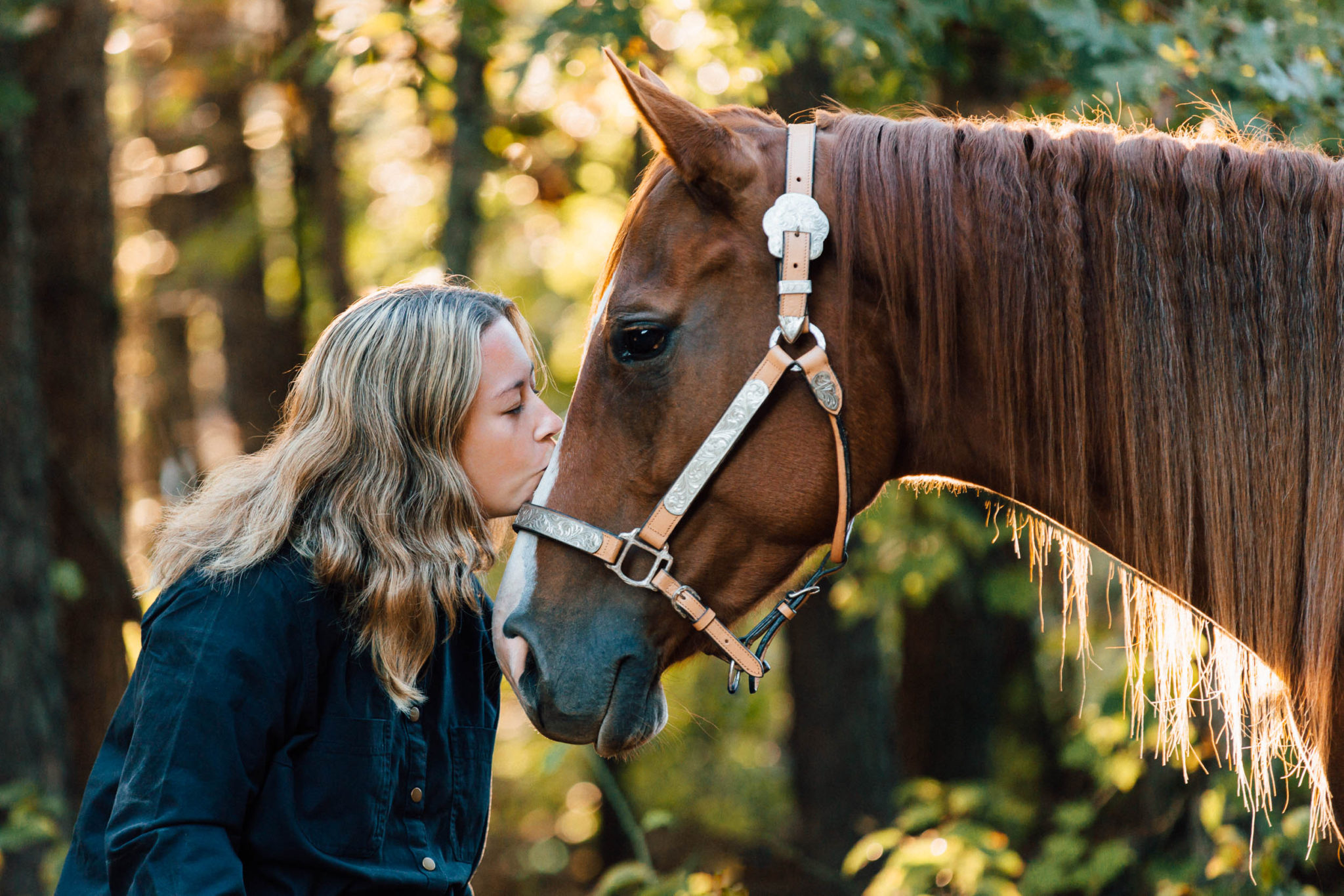 Horse Photography Pro Tips Settings Editing Examples