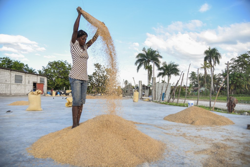 Haitian Times News Roundup The Haitian Times