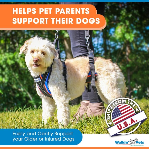 Walkin Lift N Step Dog Harness For Full Body Support Helps Dogs With