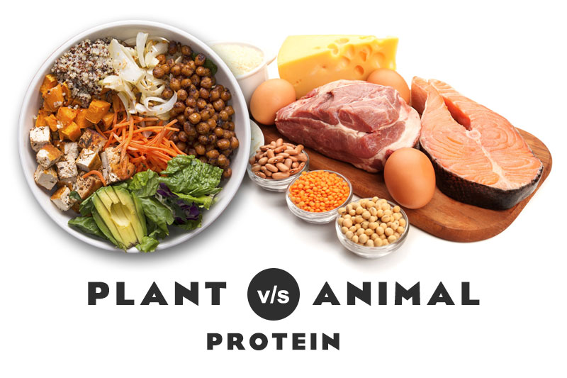 Plant Vs Animal Protein Powders Protein Quality Risks And Which One