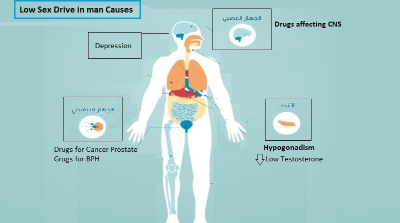 Sex Drive Or Libido Causes Of Low Sex Drive In Men Helal Medical