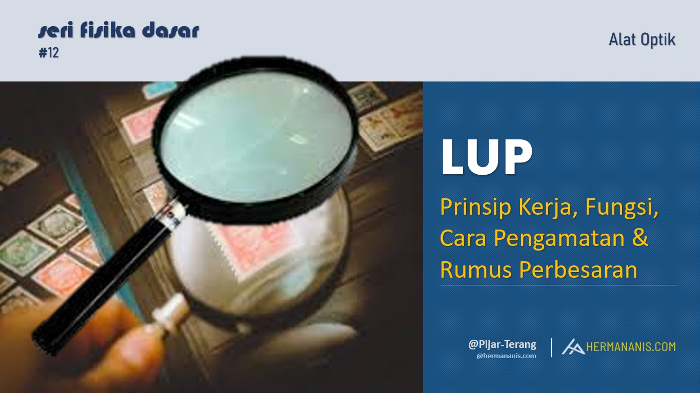 Lup Prinsip Kerja Fungsi Cara Pengamatan Dan Rumus Perbesaran