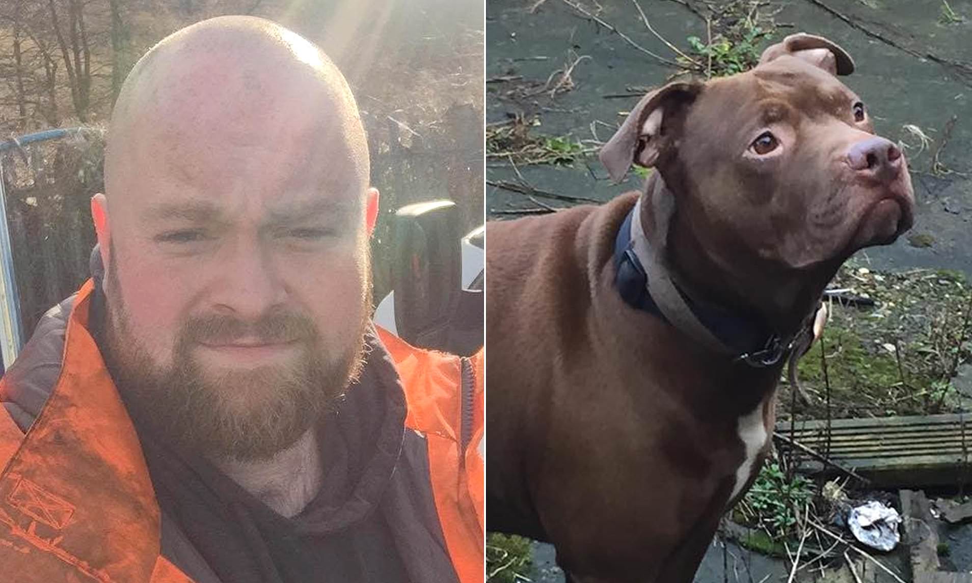 Pitbull Kills Owner Gerald Jaladara