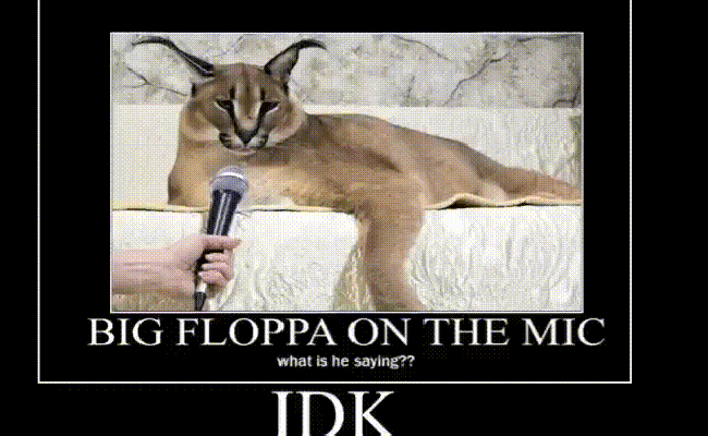 Floppa Big Floppa Know Your Meme Theme Loader