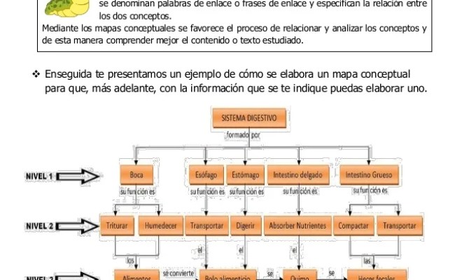 Mapa Conceptual Sexto Grado Kulturaupice Bilarasa