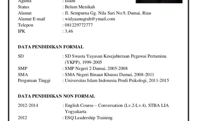 Cara Menulis Cv Akademik Contoh Cv Bilarasa