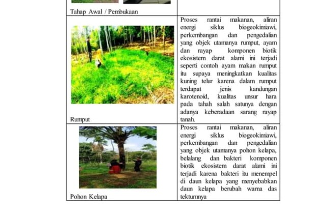 Contoh Laporan Praktikum Ipa Tentang Ekosistem Darat Otosection