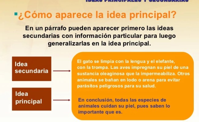 Ideas Principales Y Secundarias 1 Caracteristicas Y Recomendaciones Con