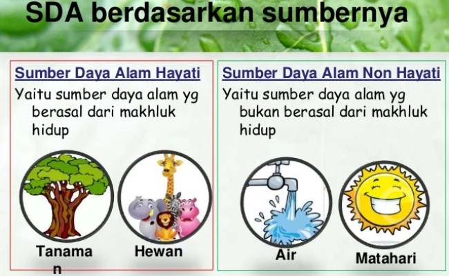 10 Contoh Sumber Daya Alam Hayati Dan Non Hayati Ini Macamnya Otosection