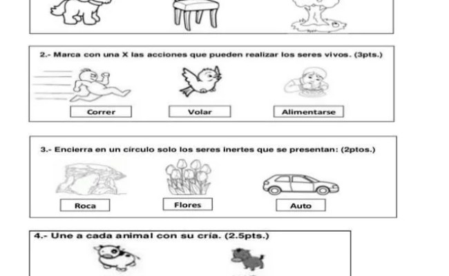 Naturales Seres Vivos E Inertes Prueba De Ciencias Naturales Reverasite