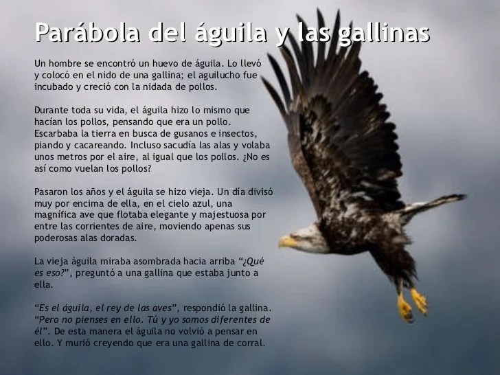 Y Tú ¿eres águila O Gallina Grandes Pymes