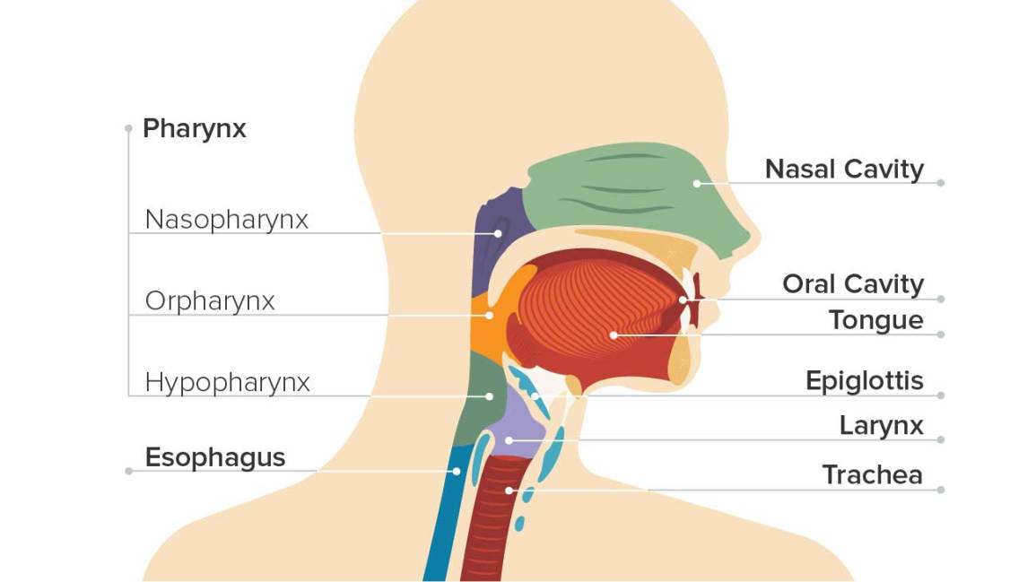 What Does Throat Cancer Feel Like Cancerwalls