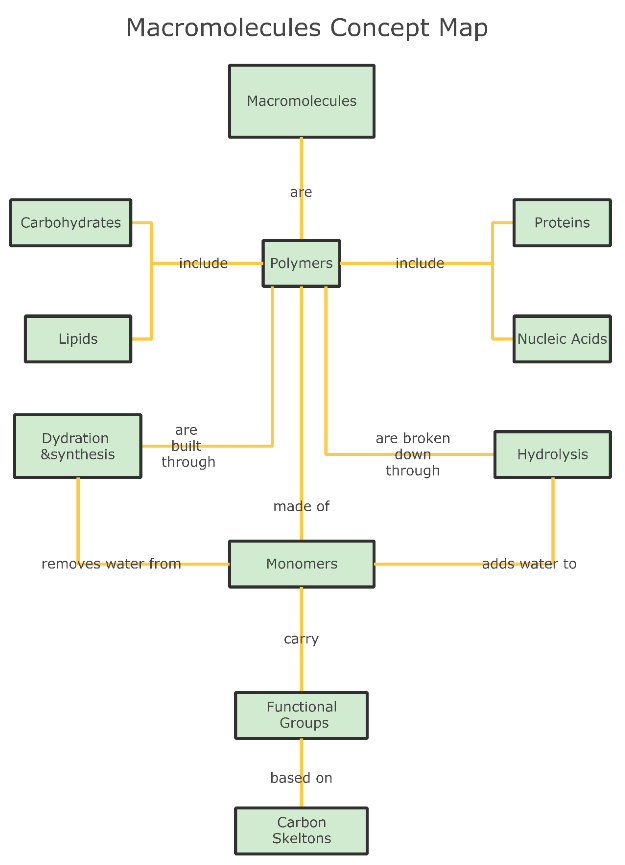 Free Concept Map Templates You Can Use Now Edraw 2022 Vrogue