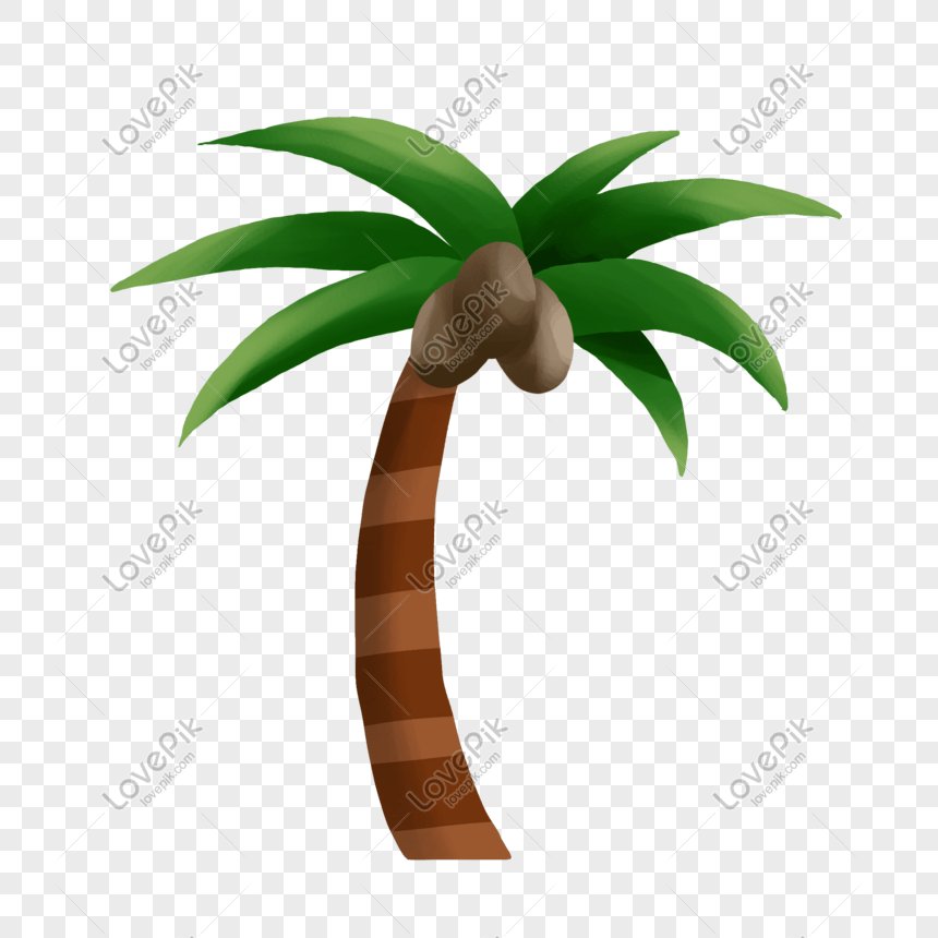 Gambar Kartun Pokok Kelapa Coconut Tree Illustration Arecaceae