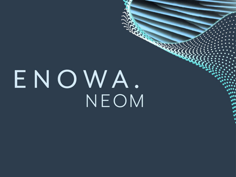 Neom Launches Utility Infrastructure Development Subsidiary