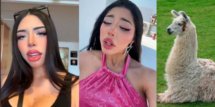 Influencer Mexicana Causa Indignación Por Insultar A Usuaria Peruana En